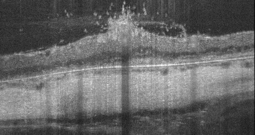 IISCIENCE – Innovative Imaging Science.